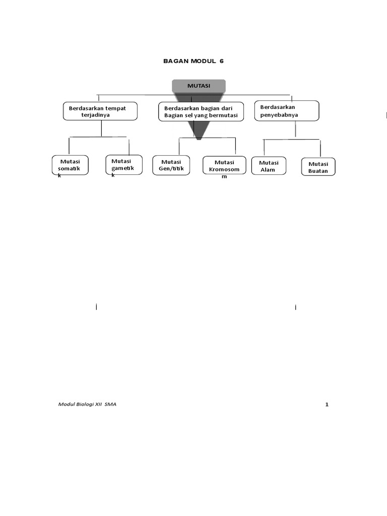 Modul Xii Bab 6 Mutasi | PDF