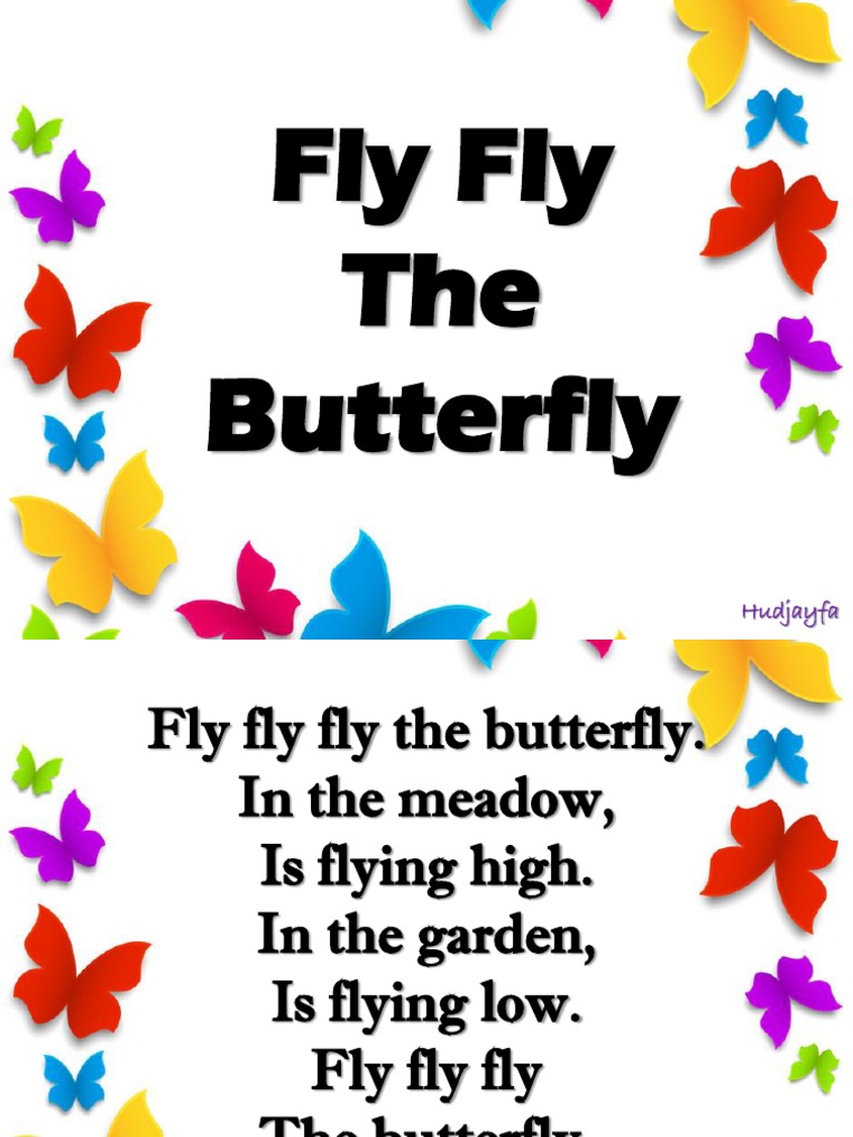 Fly Fly Group Presentation | PDF
