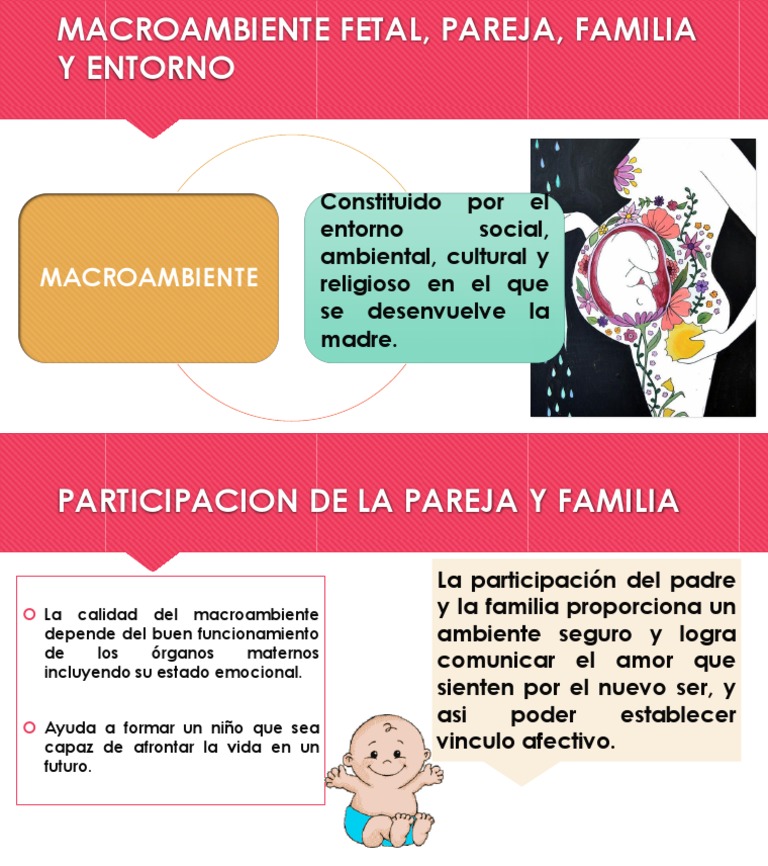 macroambiente fetal