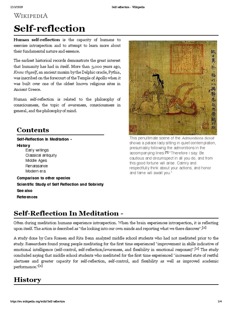 Self Reflection | PDF | Philosophical Theories | Metaphysics Of Mind