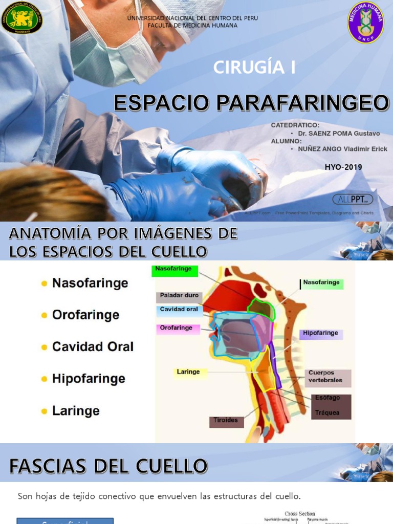 Espacio Parafaringeo | PDF