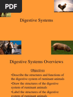 Rat Digestive System Overview | PDF | Stomach | Human Digestive System