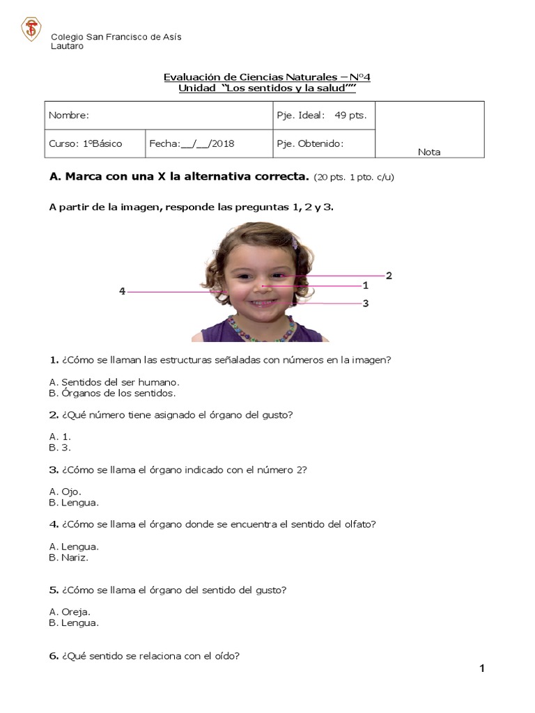 Ciencias - 1° - EVALUACIÓN - UNIDAD 4 - Los Sentidos y Vida Saludable ...