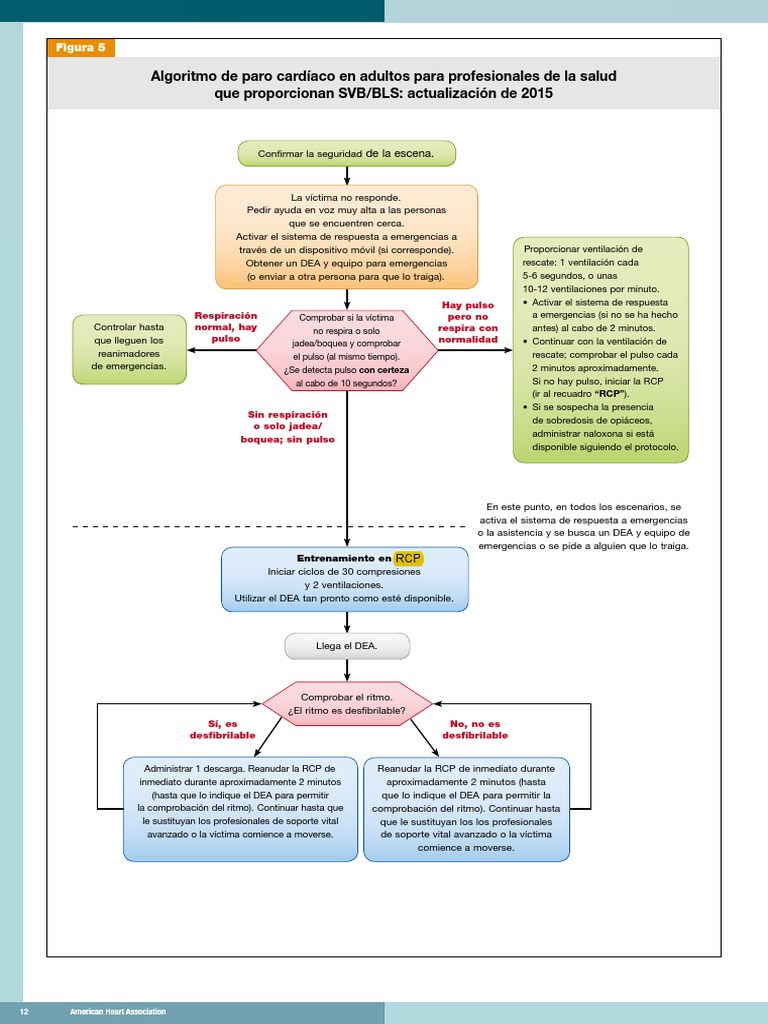 Algoritmo SVB Adulto 2015 | PDF | Reanimación cardiopulmonar | Paro ...