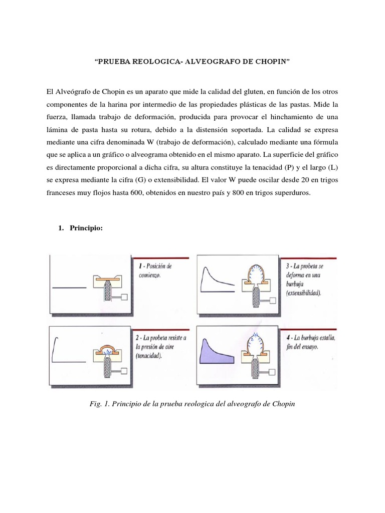 Prueba Reologica - Alveografo de Chopin | PDF