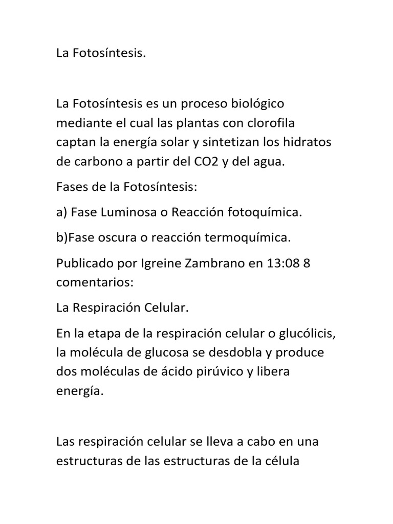 Fotosintesis y Respiracion Celular | PDF | Fotosíntesis | Respiración ...