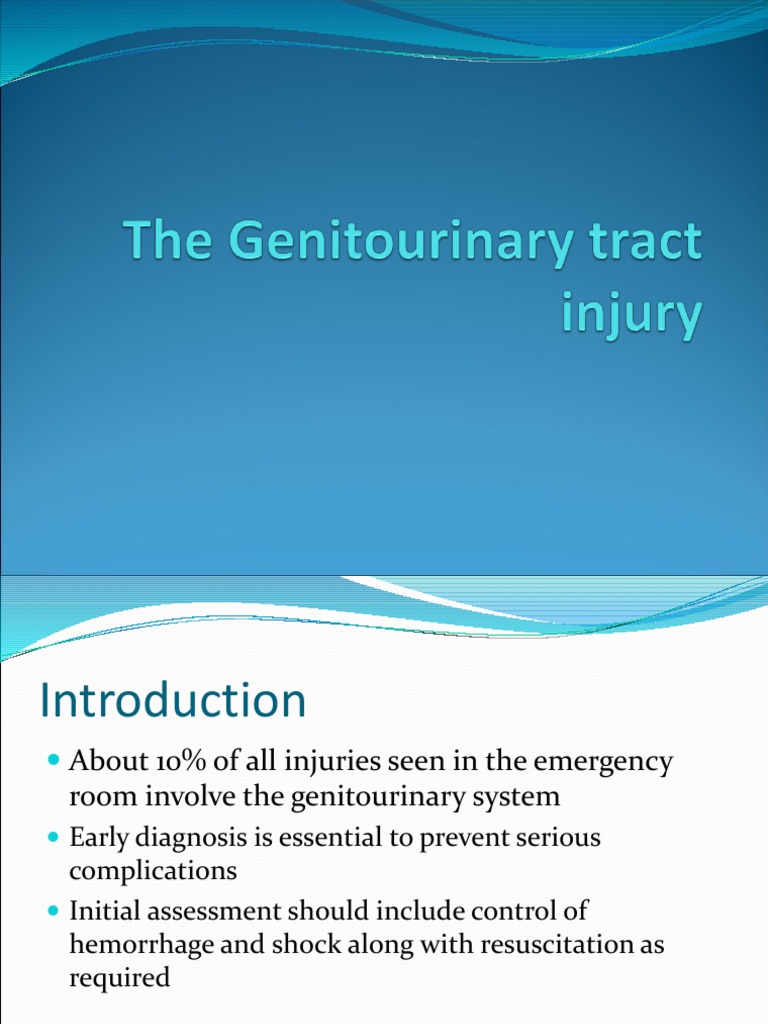 Genitourinary Trauma 2 | PDF | Peritoneum | Urinary Bladder