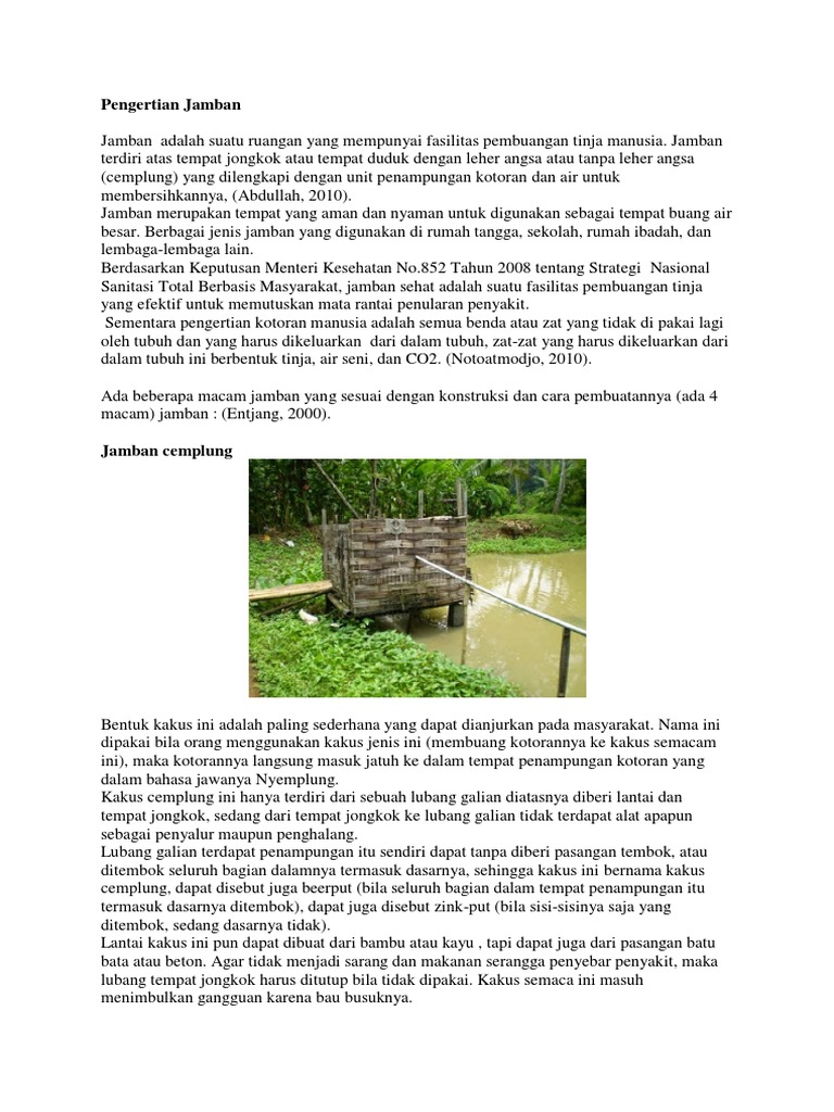 Panduan Jamban Sehat | PDF