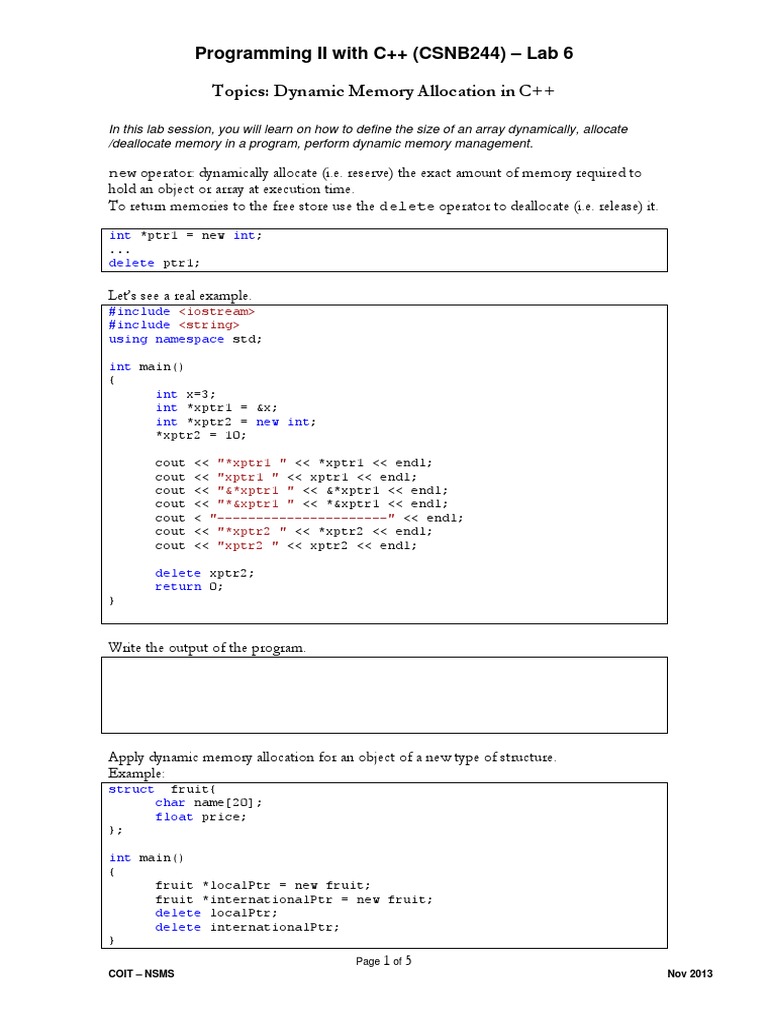 CSNB244 - Lab 6 - Dynamic Memory Allocation in C++ | PDF | C++ | String ...