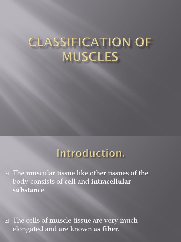 Classification of Muscles | PDF | Skeletal Muscle | Myocyte