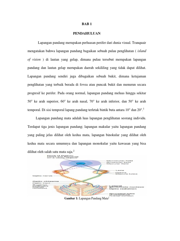 Defek Lapang Pandang | PDF