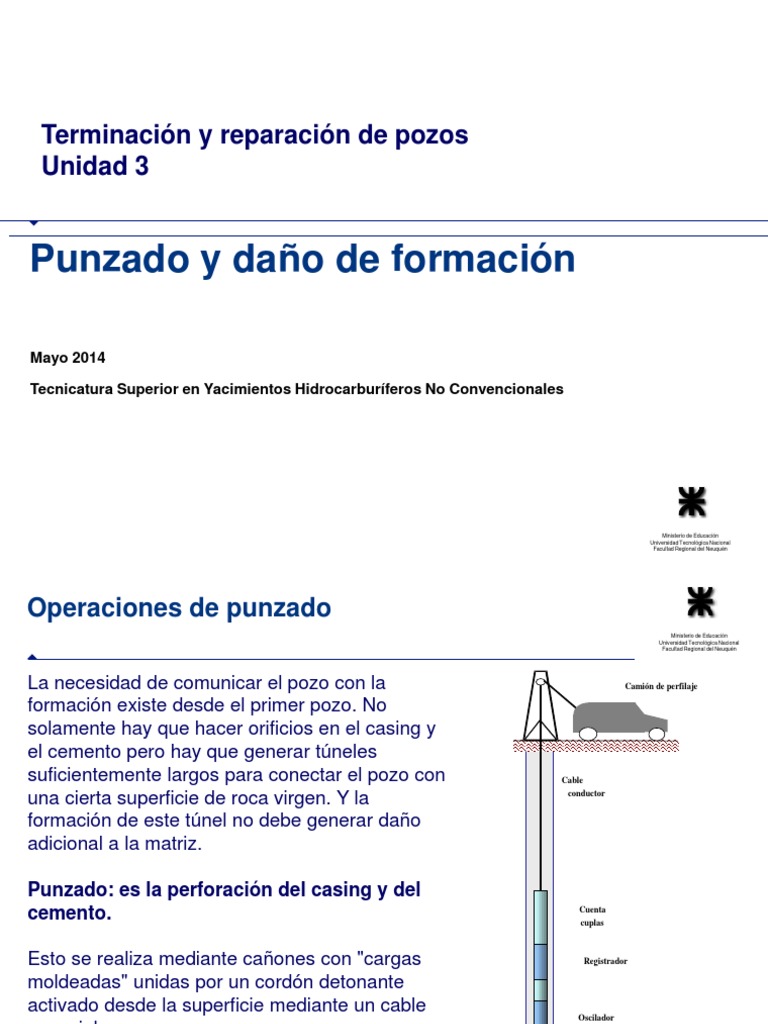 Canoneo Presentacion | PDF | Petróleo | Corrosión