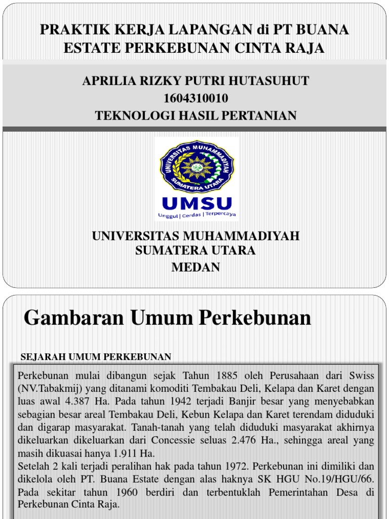 Praktik Kerja Lapangan Di PT Buana Estate Perk | PDF