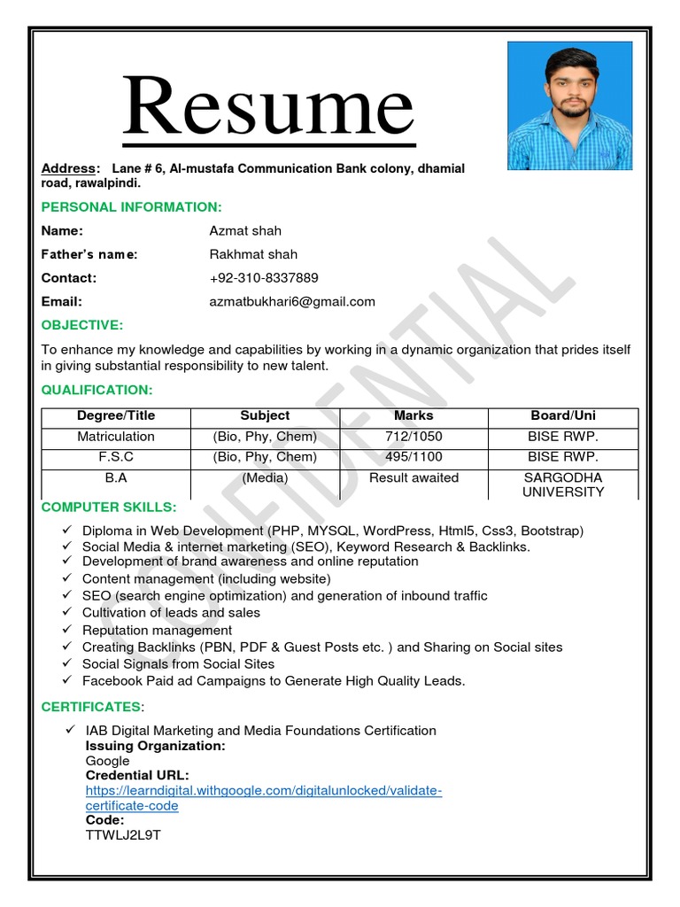 Azmat Updated Resume 0ct-2019 | PDF | Search Engine Optimization | Digital Marketing