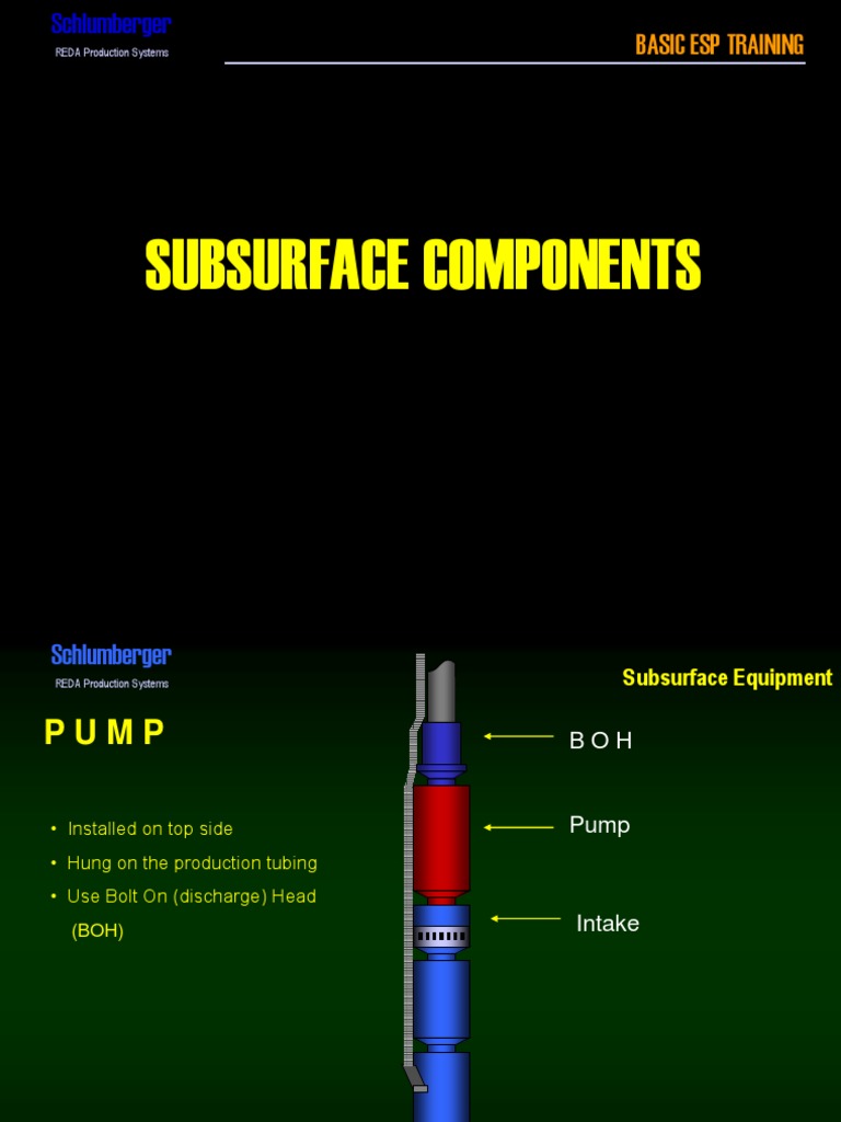 Esp SLB | PDF | Pump | Gases