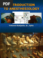 WSHA Post Fall Huddle Tool | PDF | Patient | Nursing