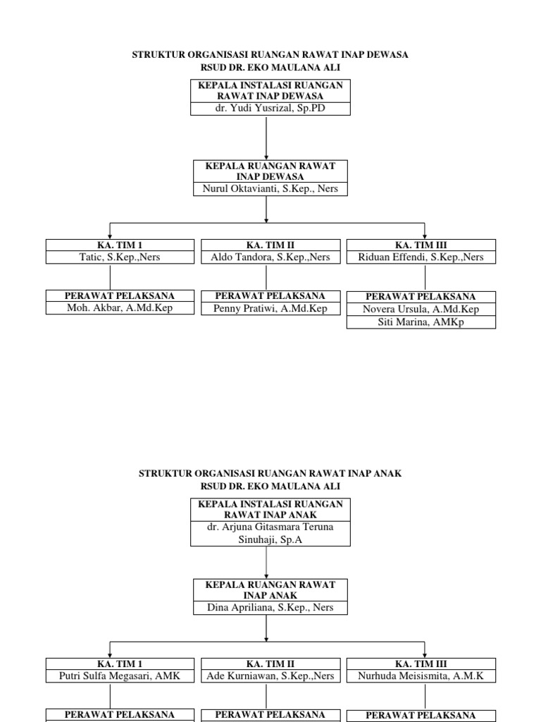 Struktur Organisasi Ruangan Rawat Inap Dewasa | PDF