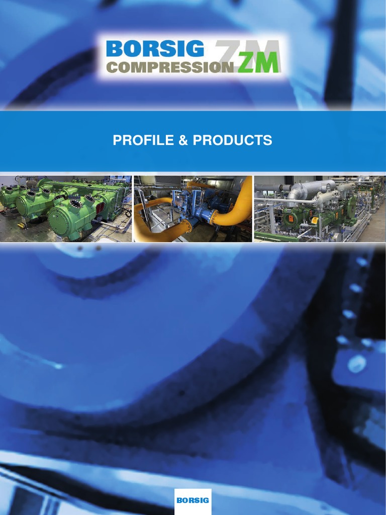 PROFILE & PRODUCTS: BORSIG ZM Compression GmbH | PDF | Natural Gas ...