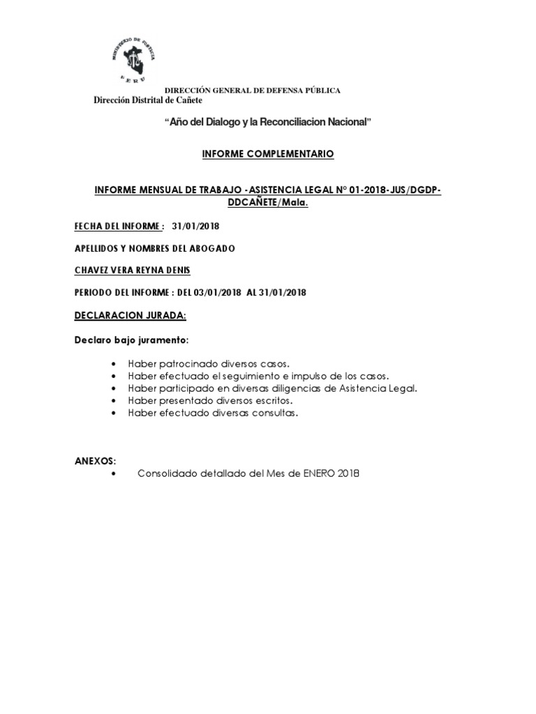 Informe Complementario | PDF