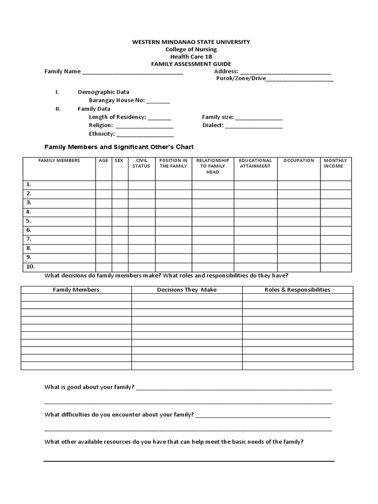 Family Assessment Guide | PDF | Health Care | Nursing