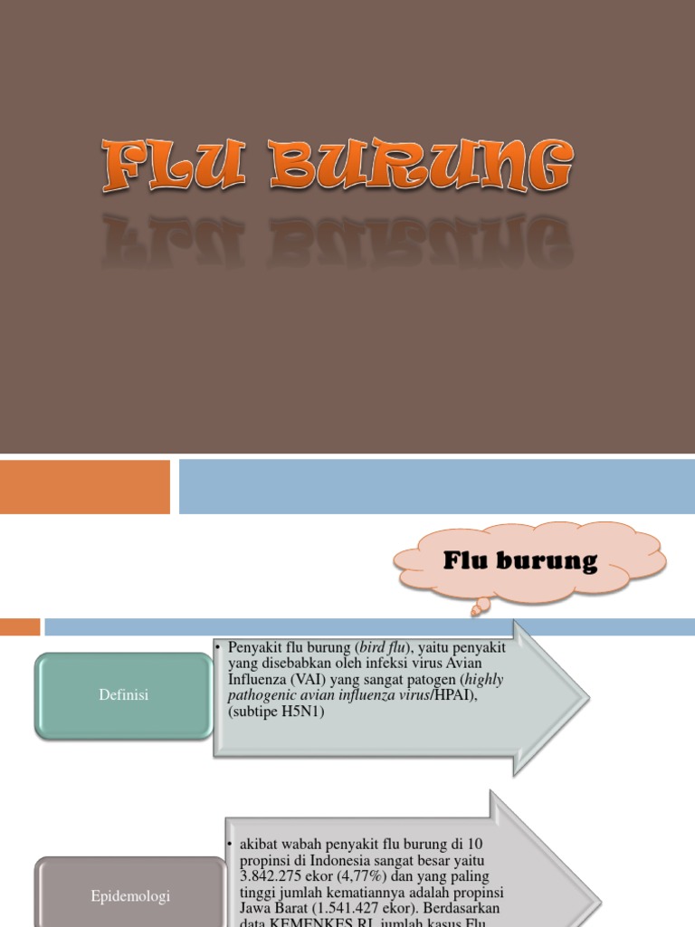Flu Burung | PDF