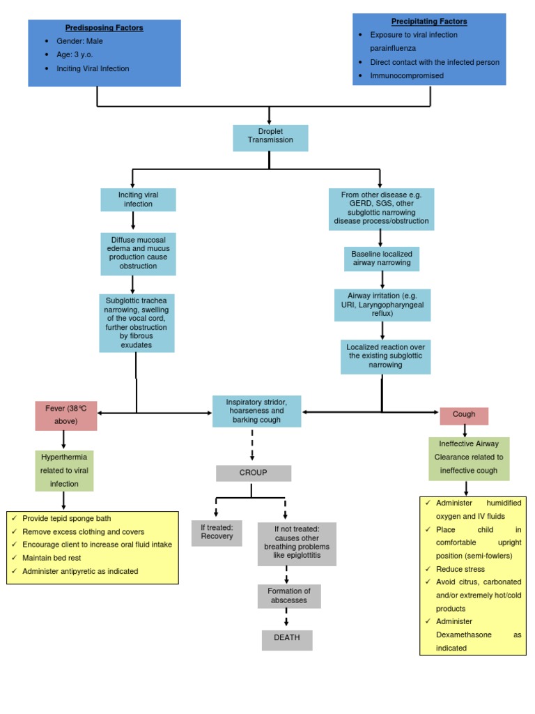 CROUP Concept Map | PDF | Cough | Infection