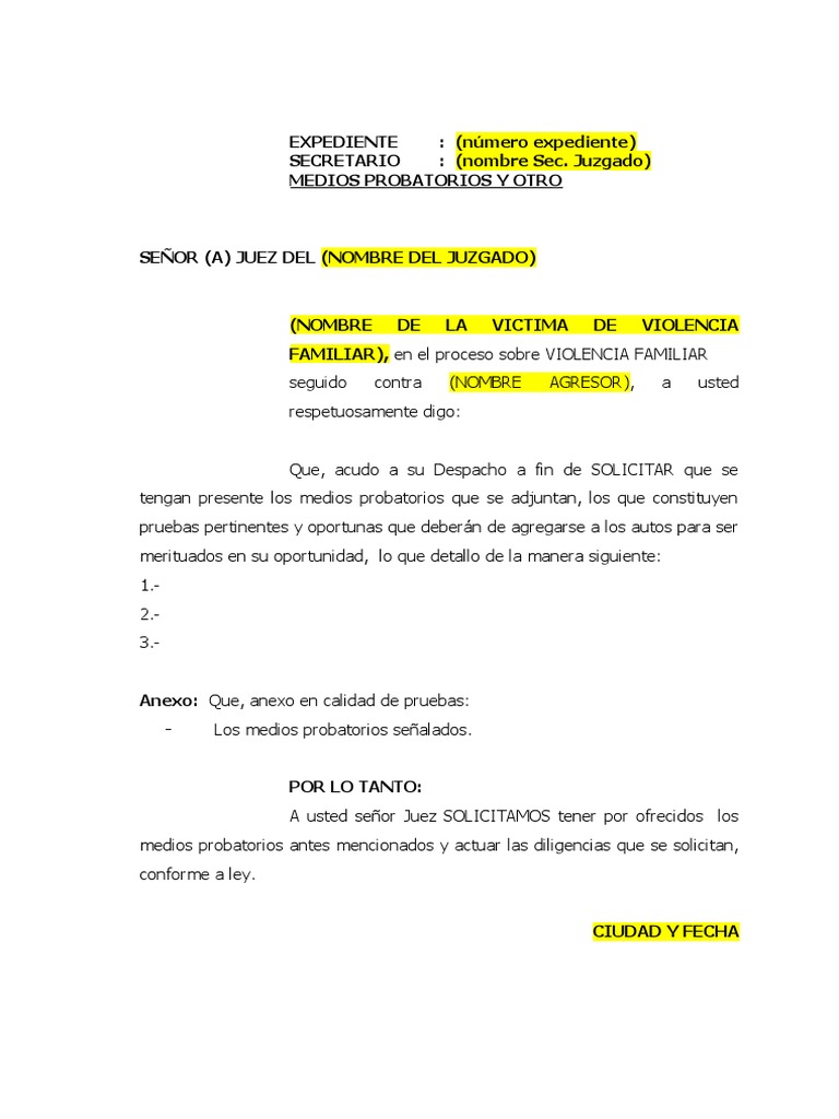 Modelo de Medios Probatorios | PDF