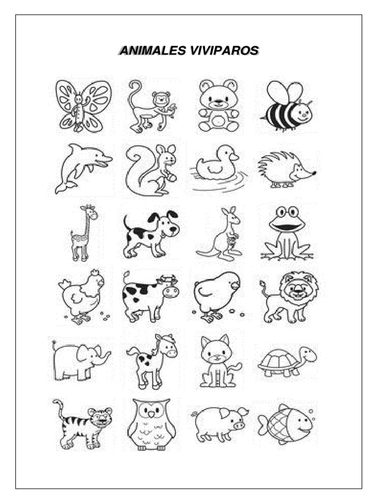 Animales Viviparos | PDF