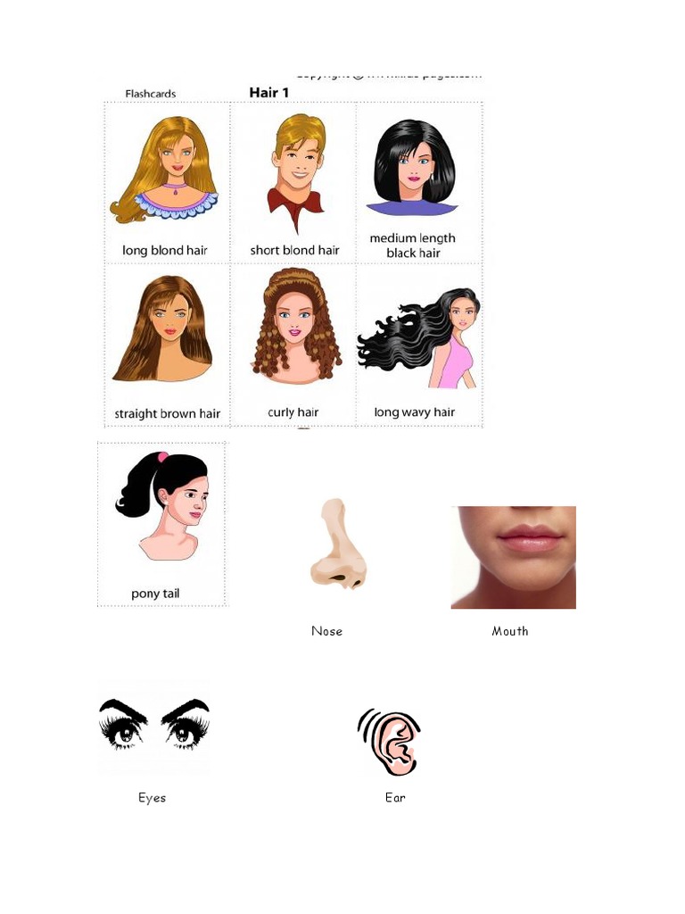 Physical Appearance | PDF