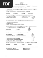 Prueba Ciencias Naturales Sistema Oseo Muscular y Nervioso | PDF ...