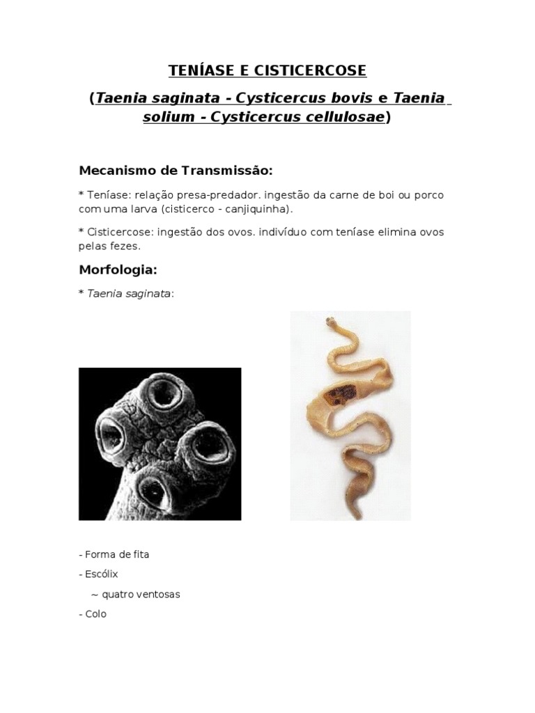 Morfologia e Transmissão da Teníase | PDF | Saúde pública | Medicina ...