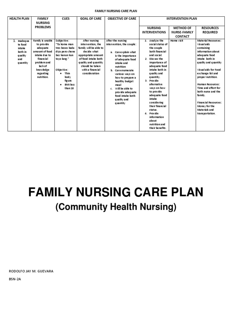 Family Nursing Care Plan Sampe | PDF | Foods | Nutrition