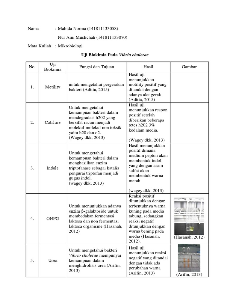 Uji Biokimia Vibrio cholerae | PDF