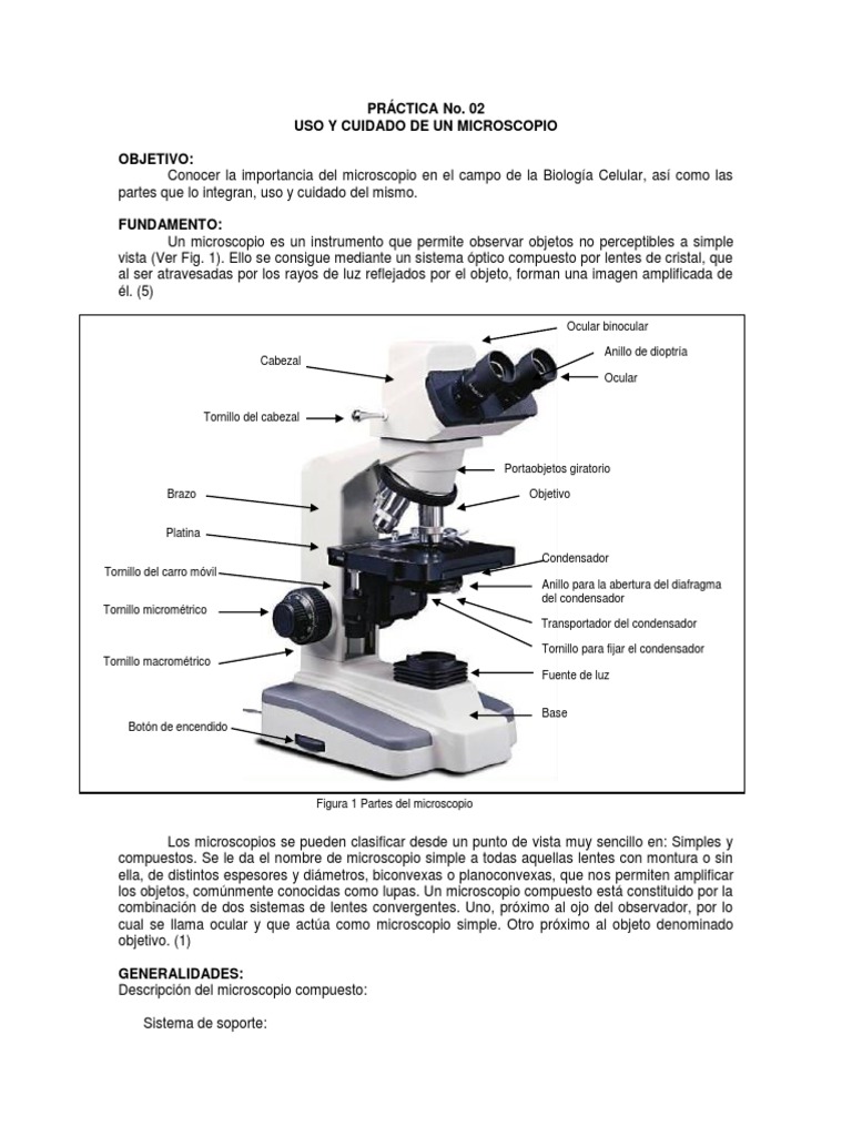Partes y Uso del Microscopio | PDF | Microscopio | Óptica
