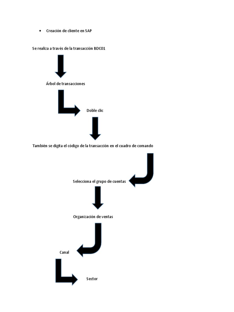 Paso A Paso SAP | PDF