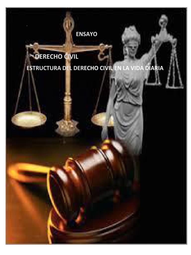 Ensayo Derecho Civil | PDF | Derecho Civil (Common Law) | Propiedad