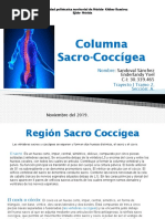 Protocolo para Toma de RX de Columna Sacro | PDF