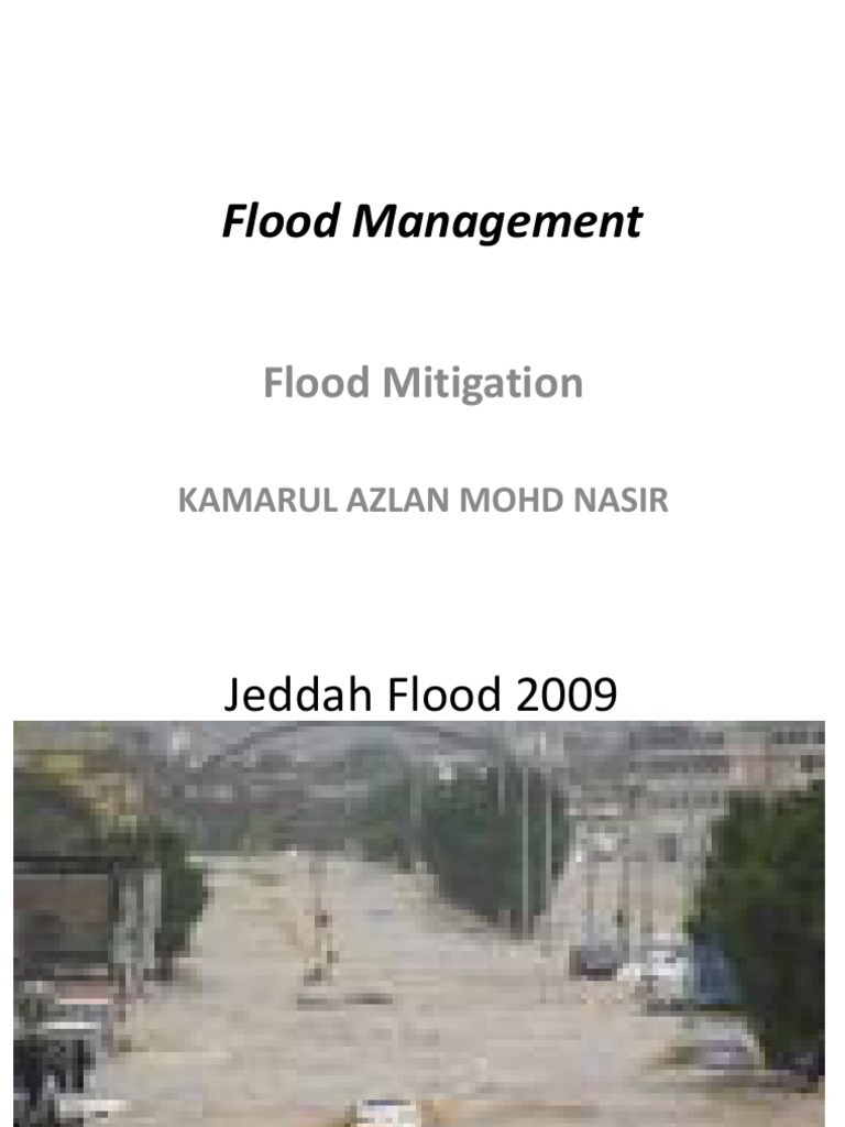 Flood Mitigation | PDF | Flood | Stormwater