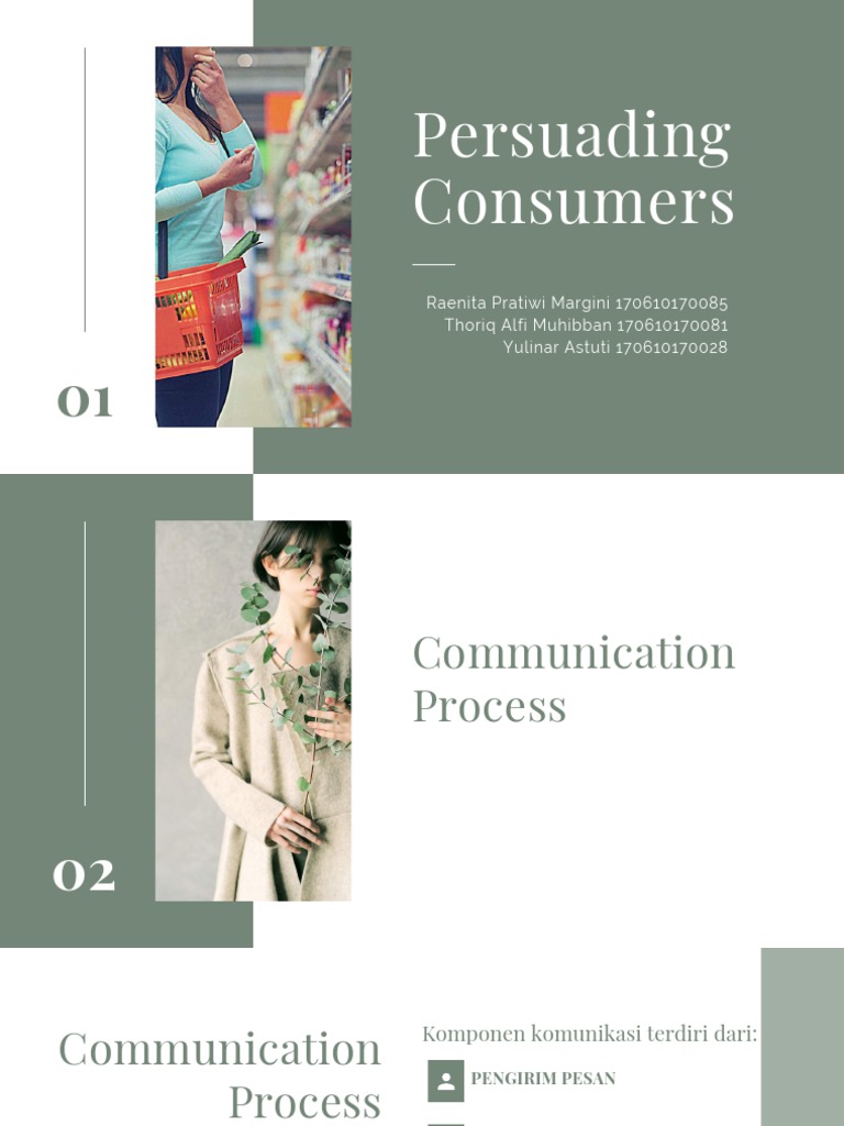 Persuading Consumers | PDF