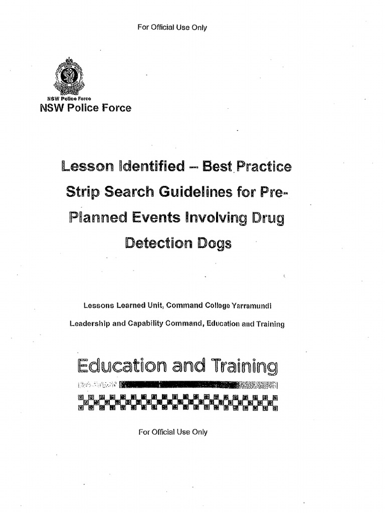 Lessons Identified Report | PDF