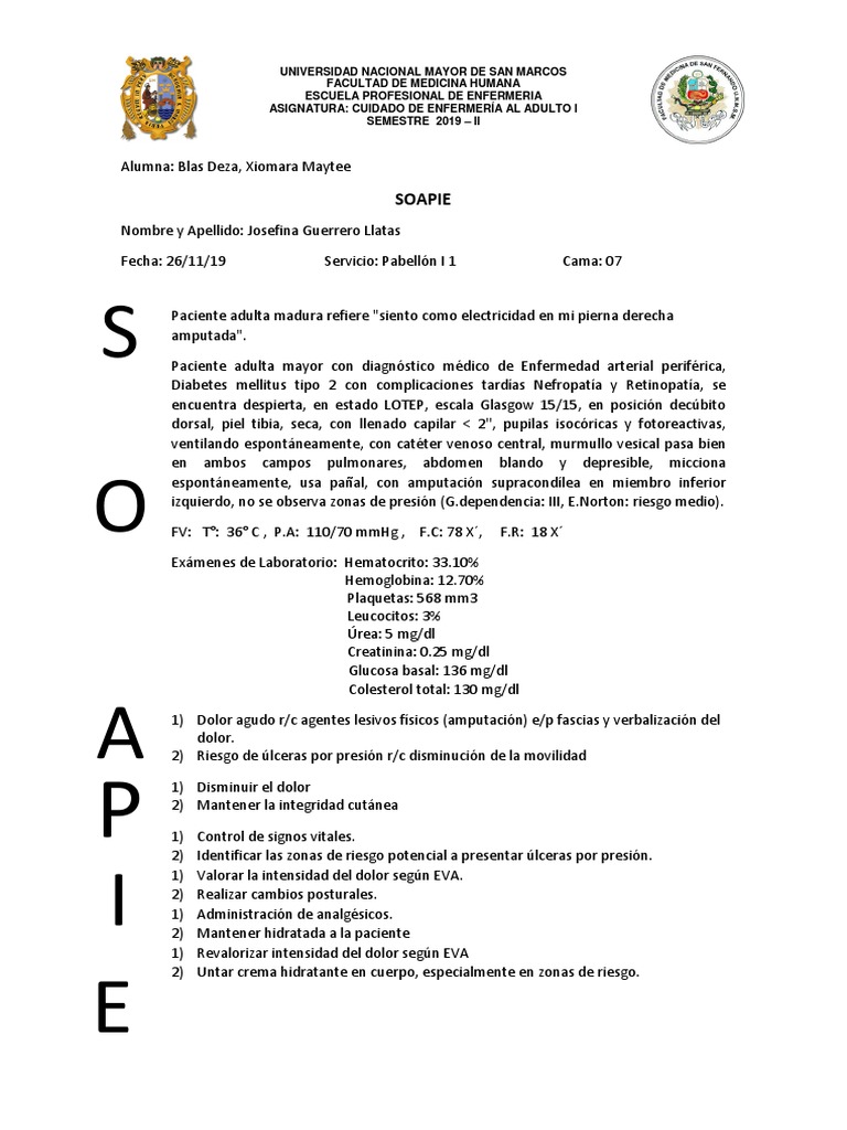 SOAPIE | PDF | Dolor | Medicina CLINICA