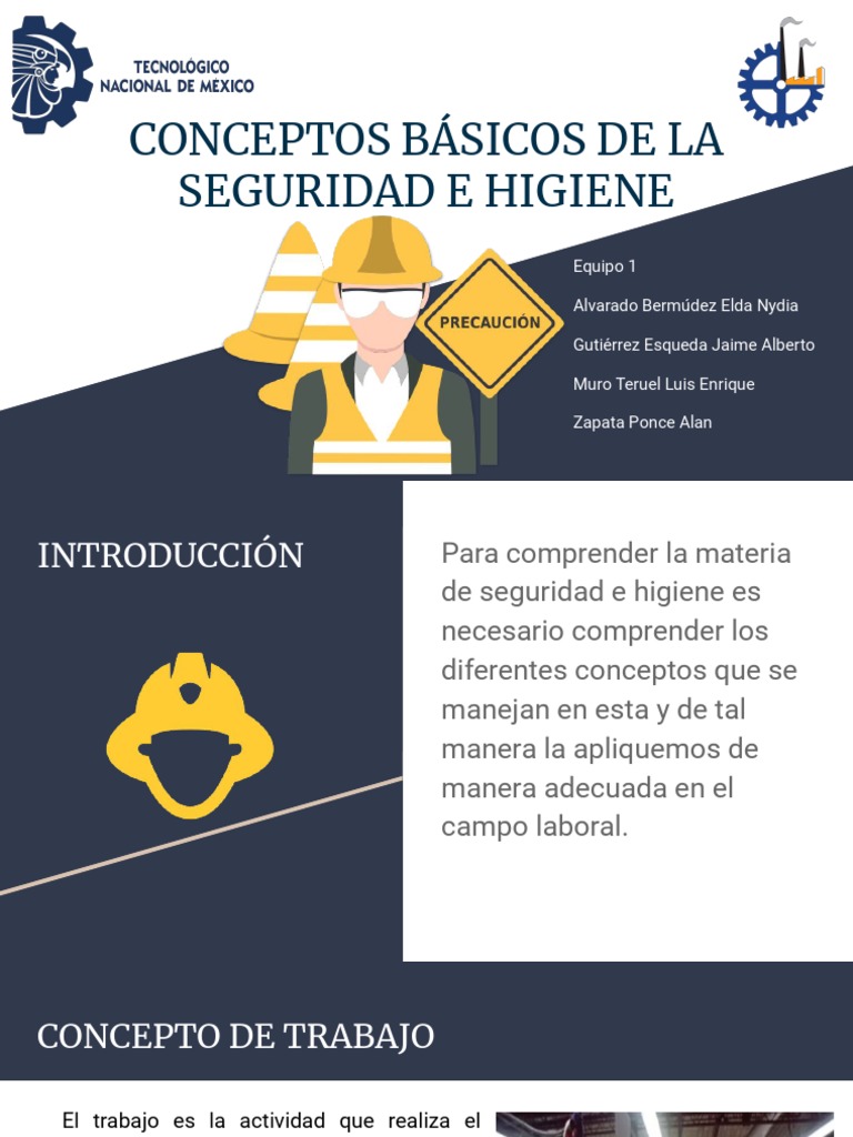 Conceptos Basicos de La Seguridad e Higiene | PDF | Seguridad y salud ocupacional | Bienestar
