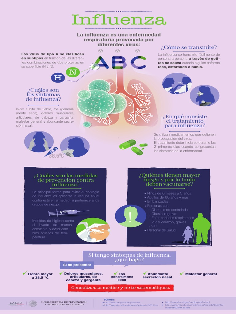 Infografia Influenza | PDF | Influenza | Enfermedades animales