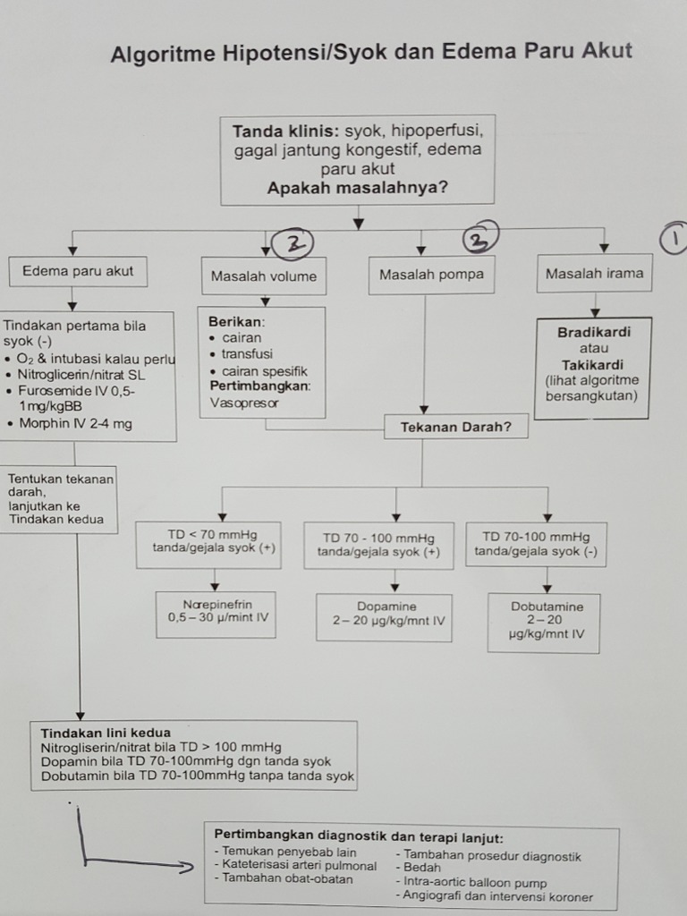 Acls | PDF