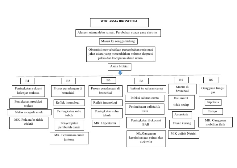 Woc Asma Bonkial | PDF