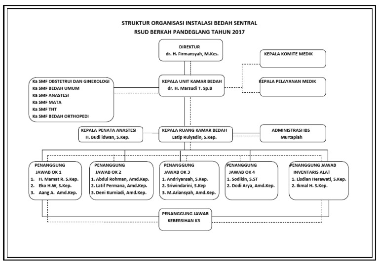 Struktur Organisasi Instalasi Bedah Sentral | PDF