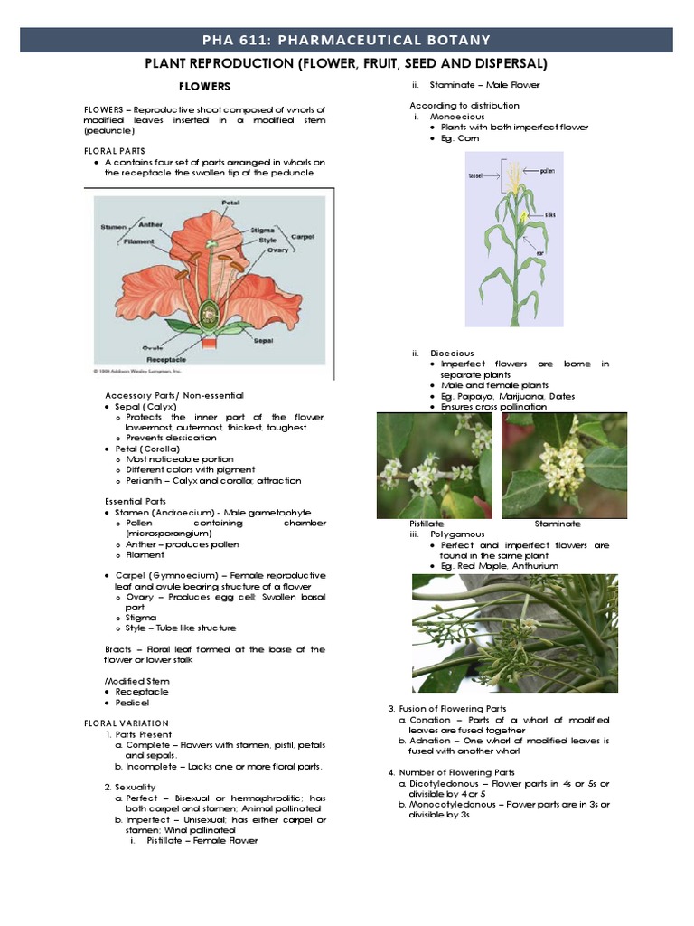 Botany Reproduction | PDF | Seed | Fruit