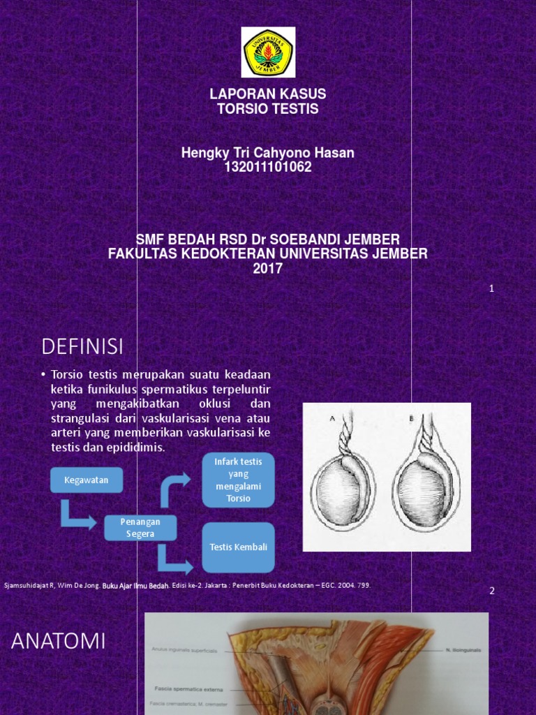 Lapsus Torsio Testis | PDF