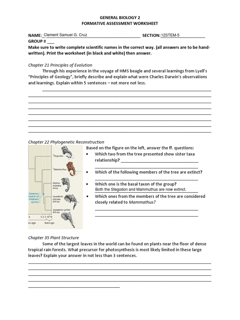 Gen Bio Worksheet | PDF | Biological Evolution | Evolutionary Biology