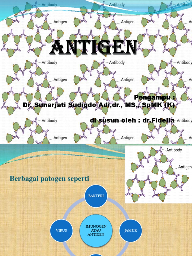 Antigen | PDF